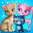 Cat Games - Play Free Online Cat Games on Friv 2