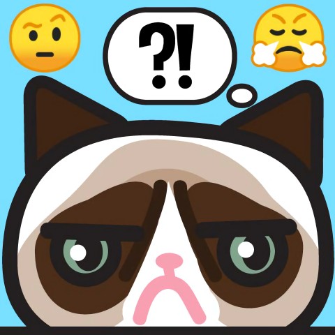 Which Meme Cat Are You? game play on Friv2Online