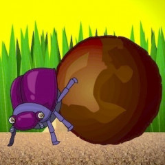 Dung Beetle Derby game play on Friv2Online